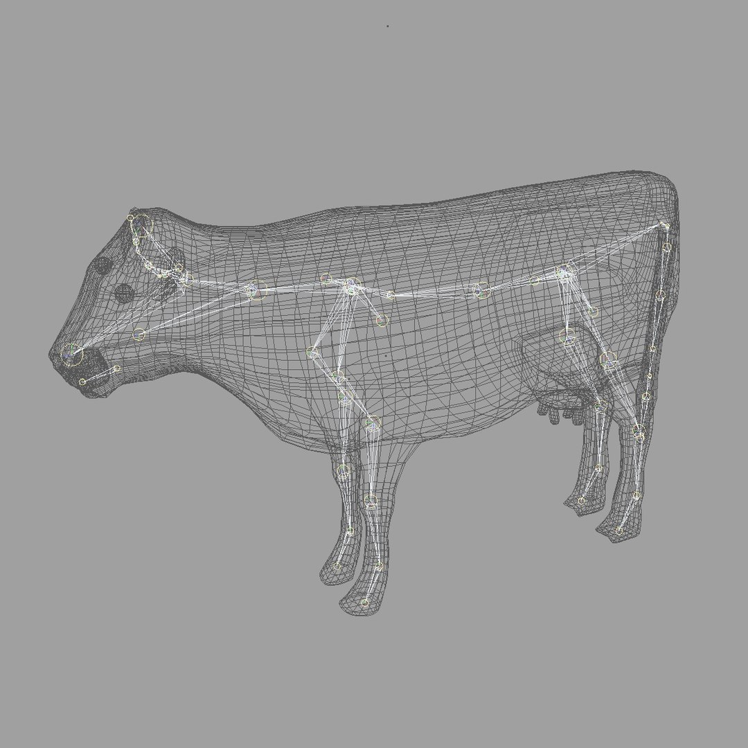 3D Base Mesh Cow Rigged - TurboSquid 1151150