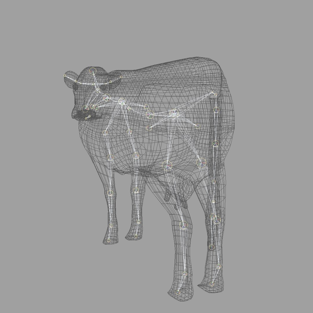 3D Base Mesh Cow Rigged - TurboSquid 1151150