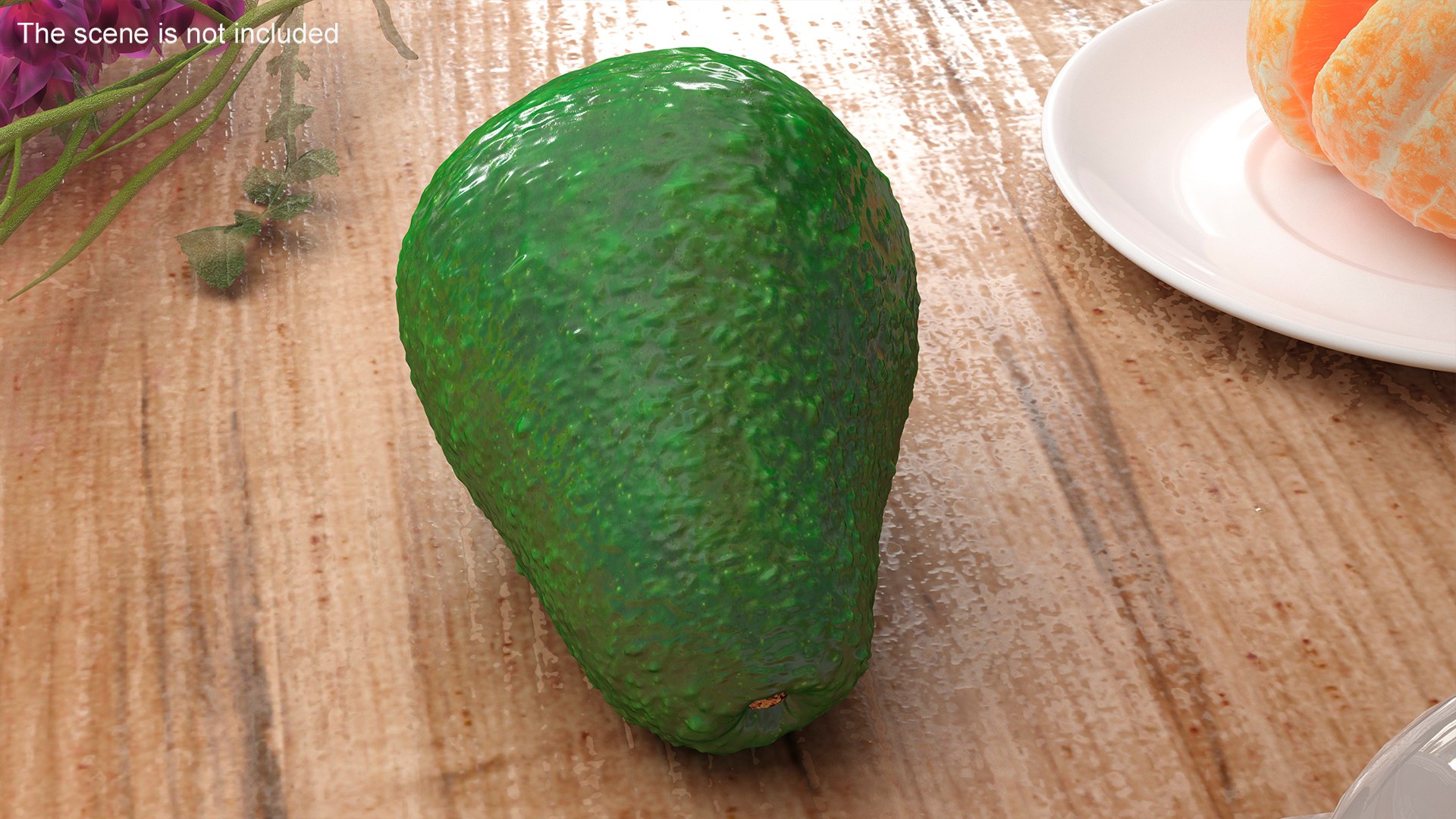 3D Avocado Fuerte - TurboSquid 2128835