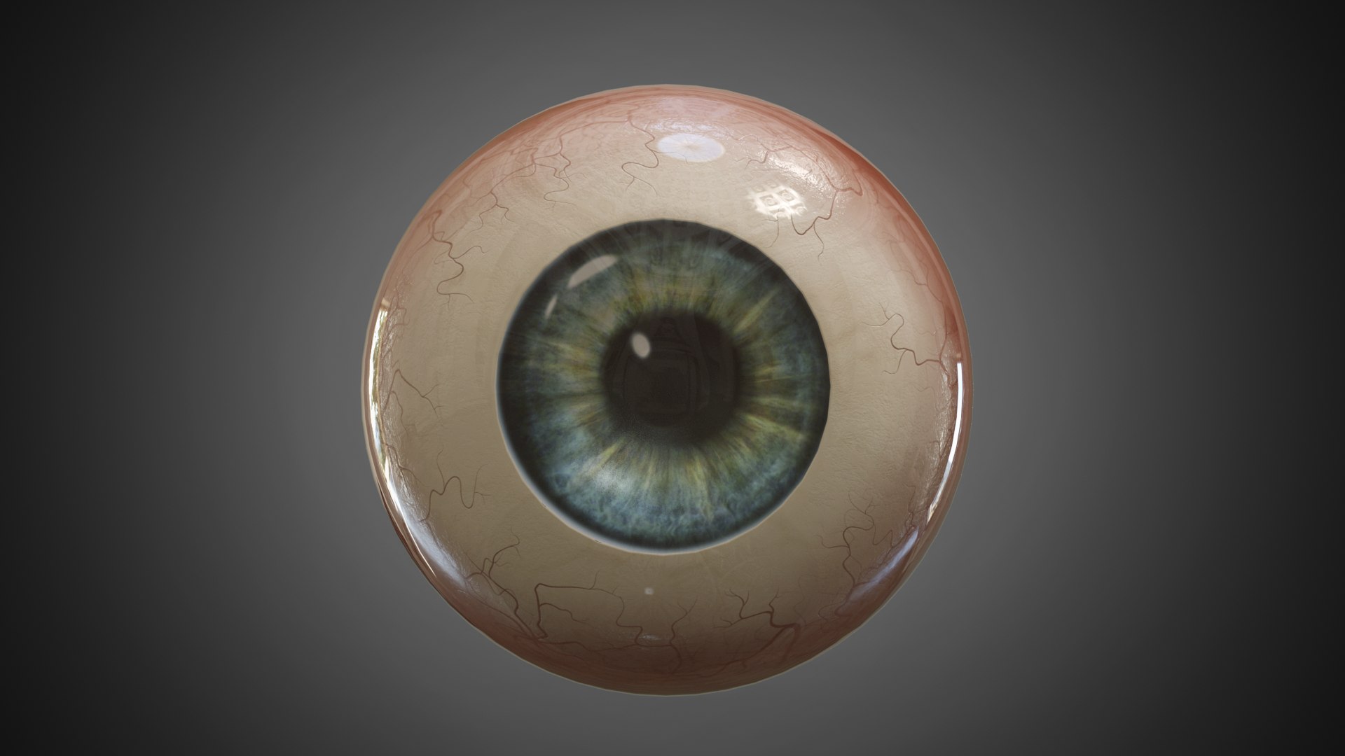 Realistic Human Eye 3D model - TurboSquid 1904387
