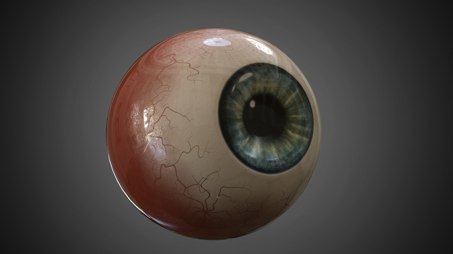 Realistic Human Eye 3D model - TurboSquid 1904387