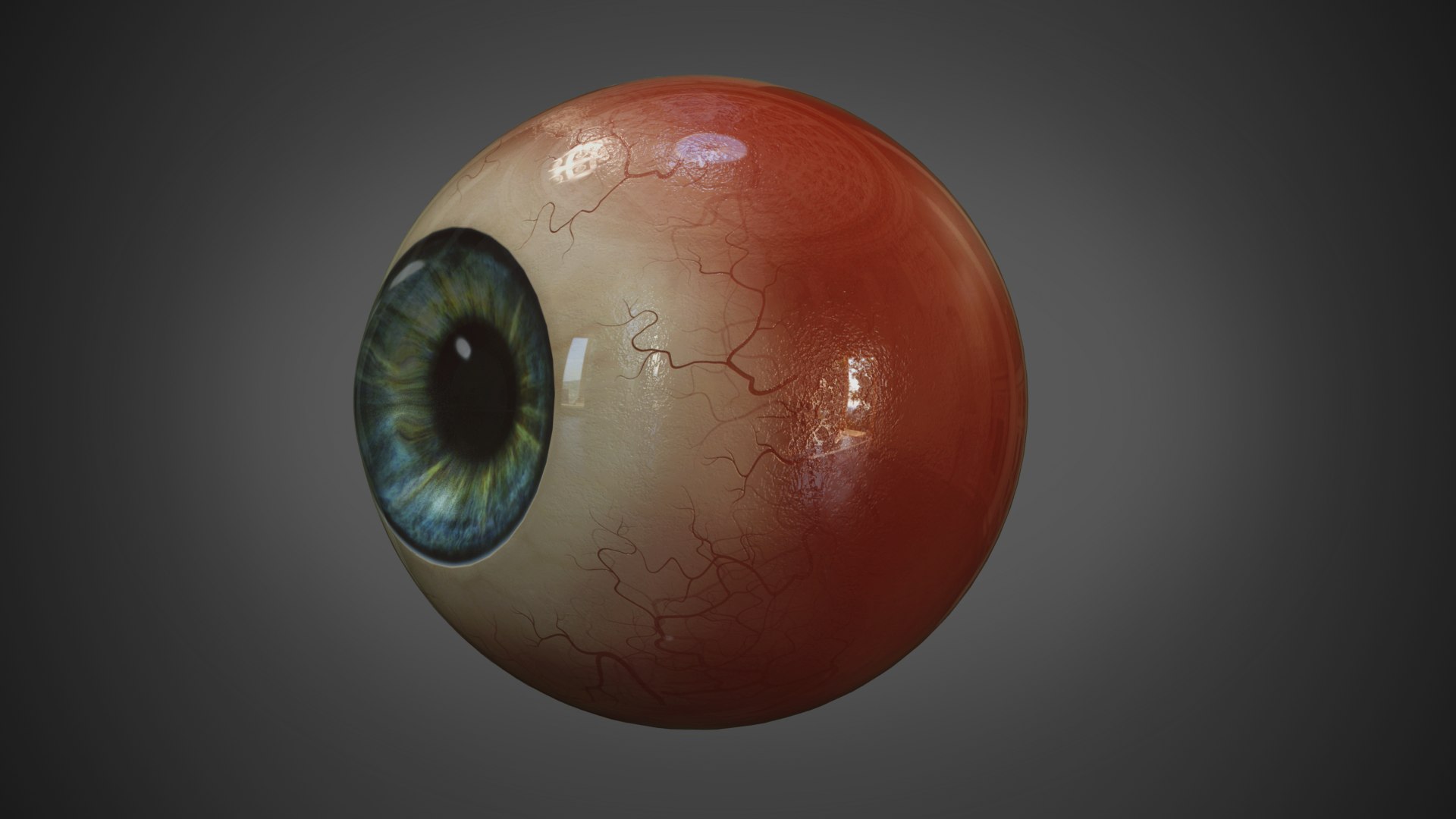 Realistic Human Eye 3D model - TurboSquid 1904387
