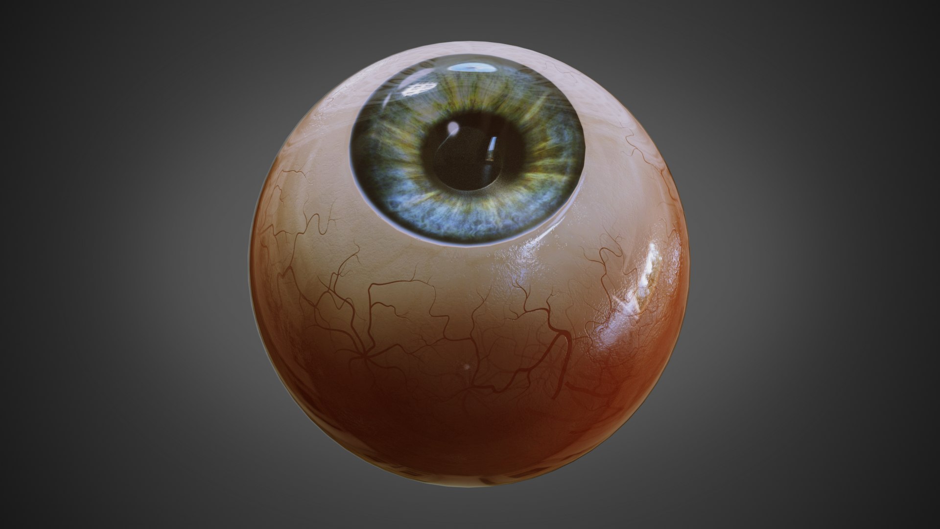 Realistic Human Eye 3D model - TurboSquid 1904387