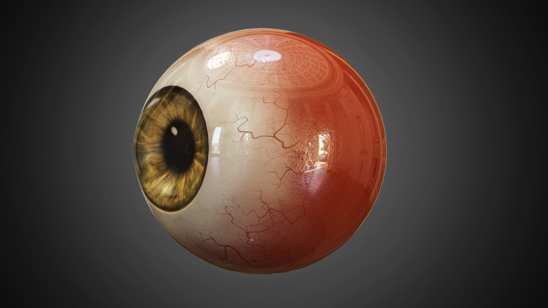 Realistic Human Eye 3D model - TurboSquid 1904387
