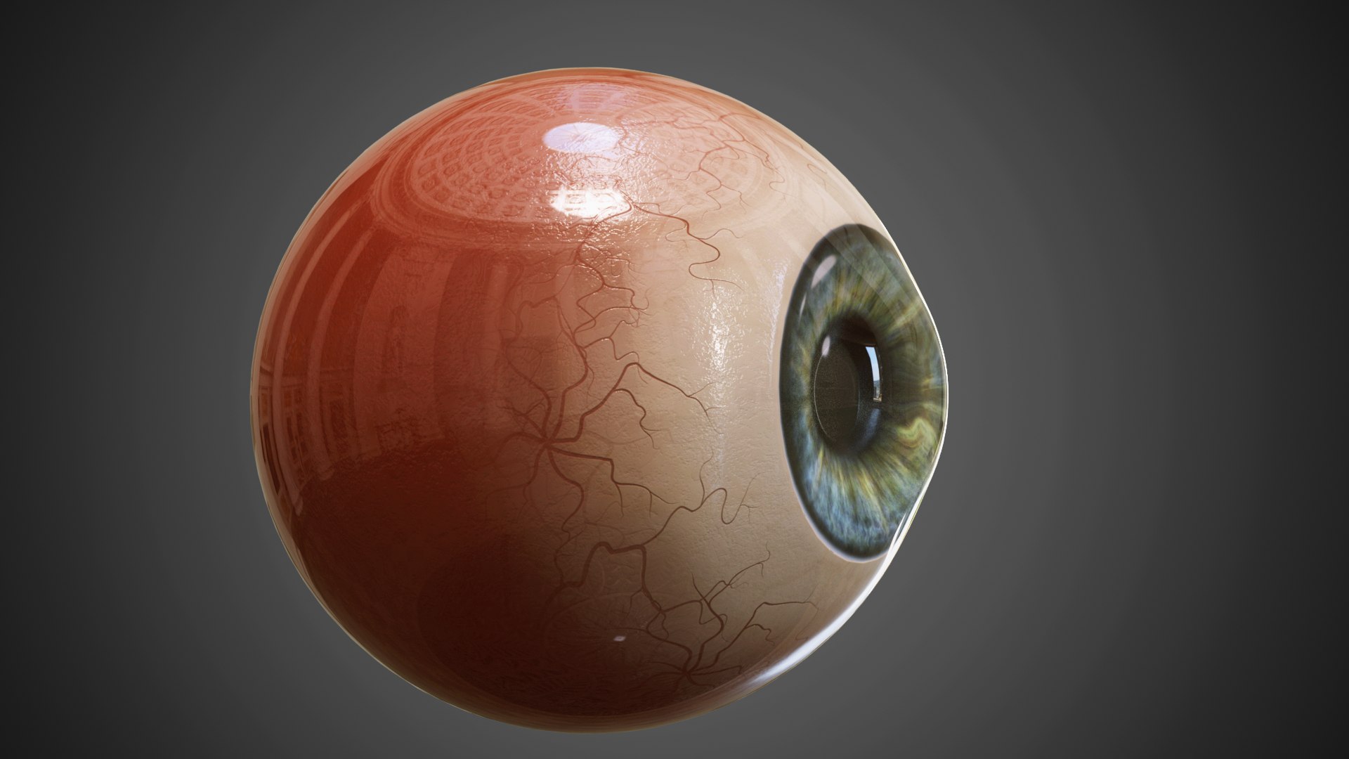 Realistic Human Eye 3D model - TurboSquid 1904387