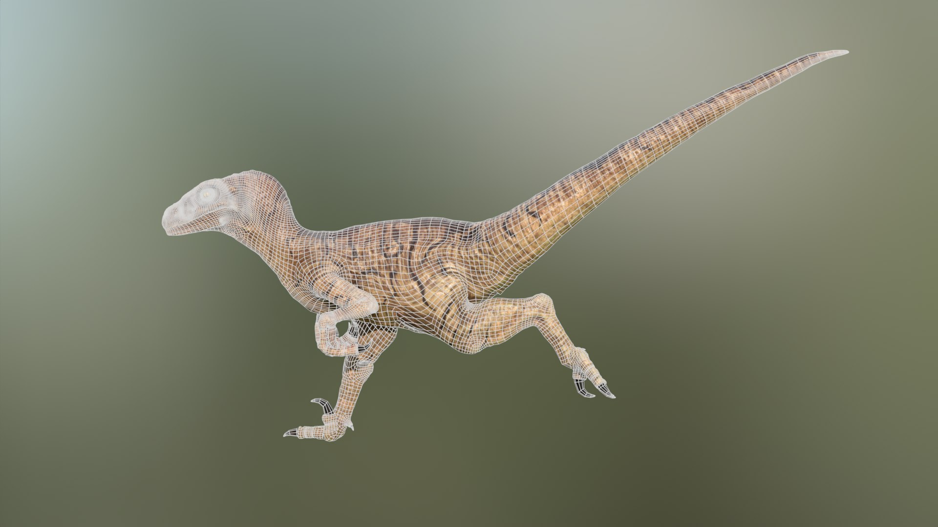 Game Ready Velociraptor Model - TurboSquid 2217352