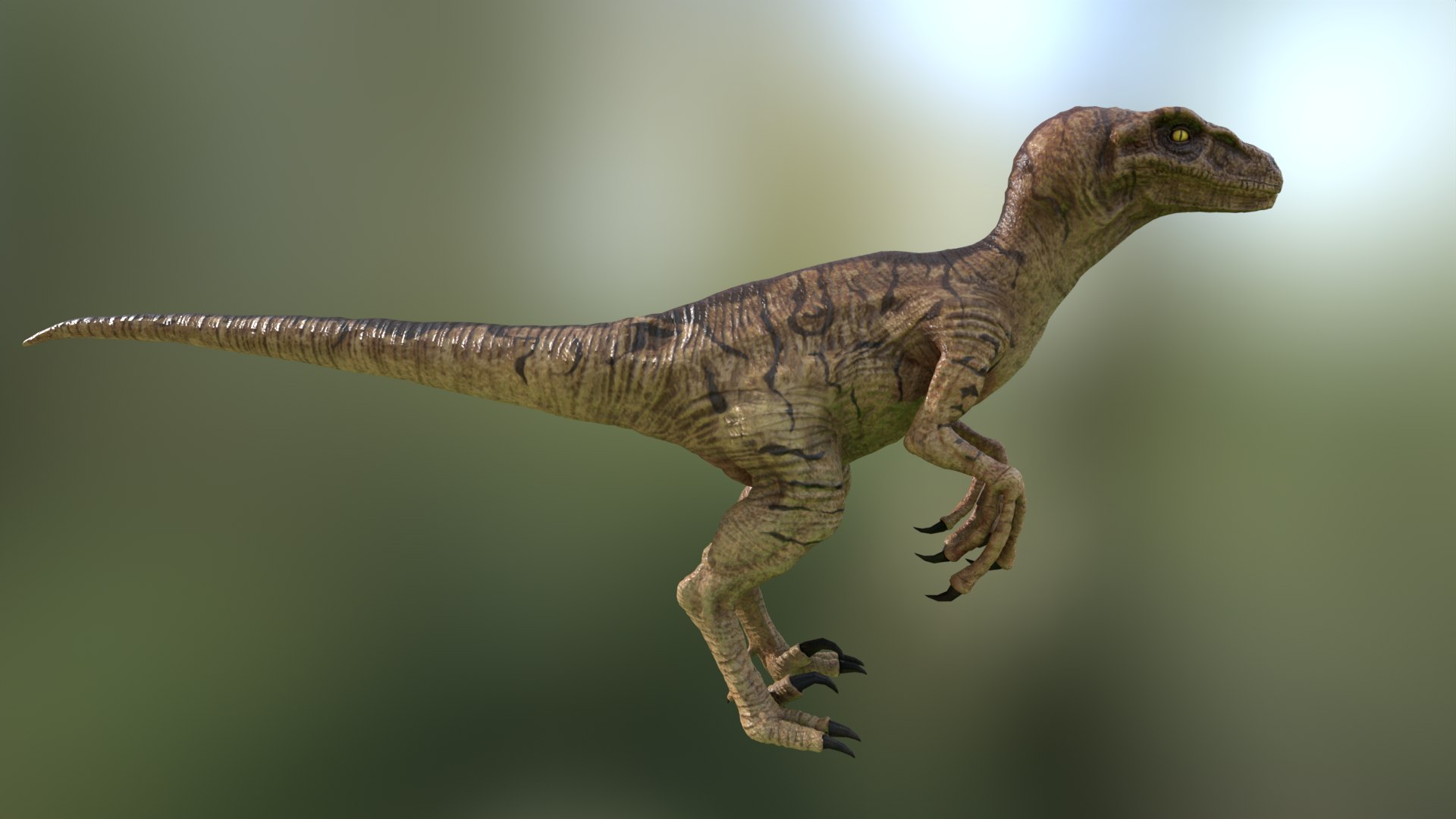 Game Ready Velociraptor Model - TurboSquid 2217352