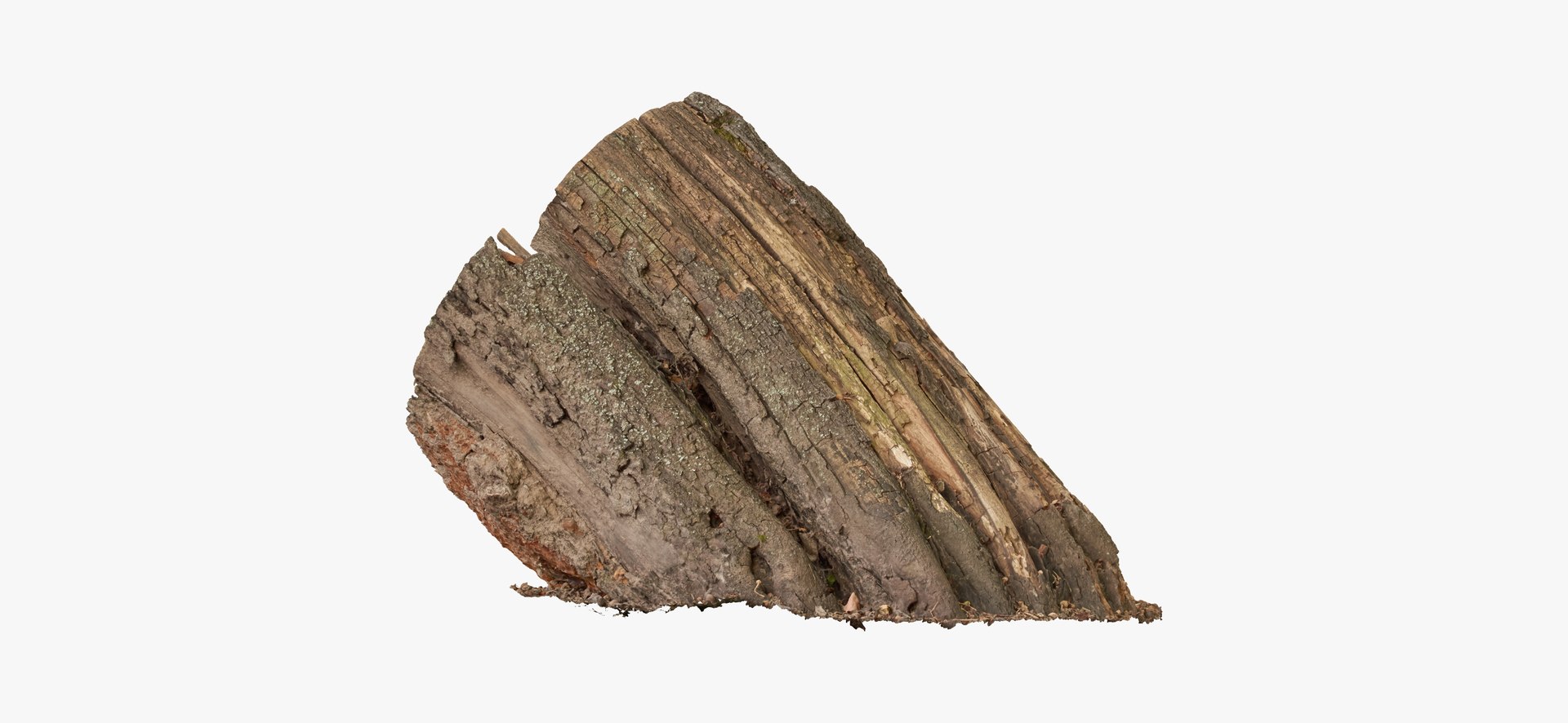 Tree Stump 03 Raw Model - TurboSquid 1546392