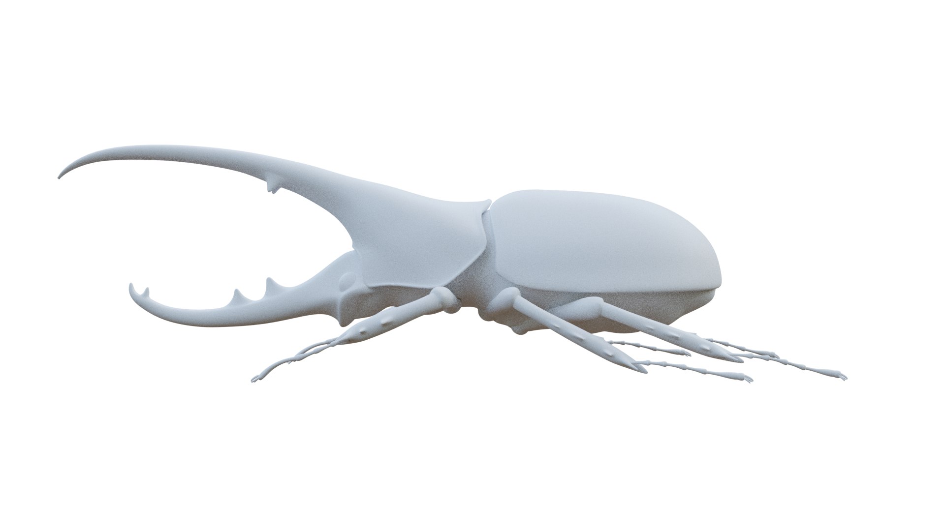 3D Hercules Beetle - TurboSquid 1628909
