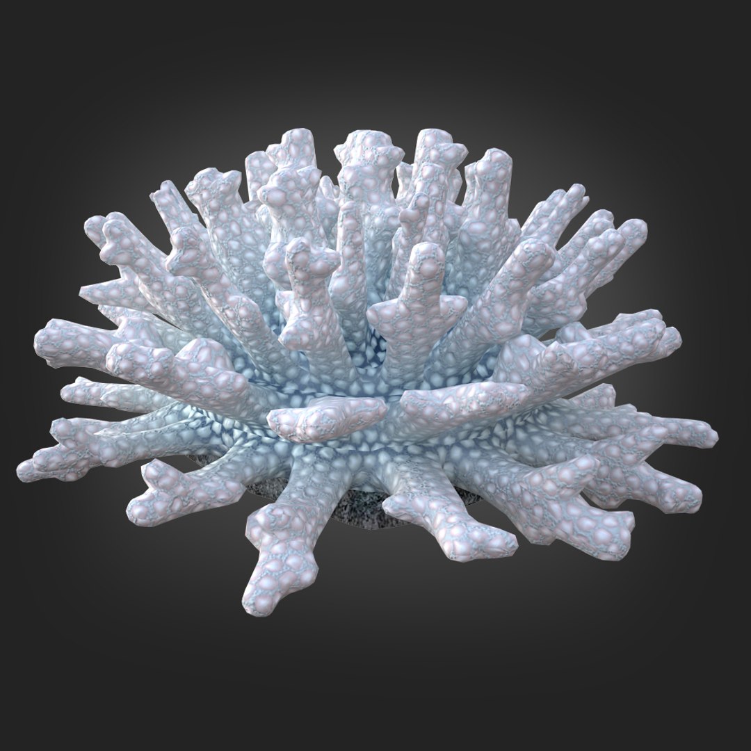 Coral Acropora V4 3D - TurboSquid 1252248