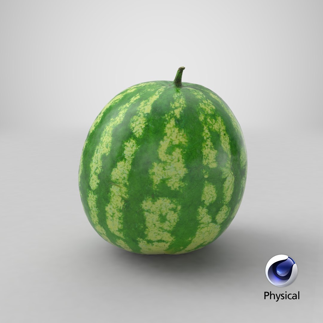 Watermelon 05 3D model - TurboSquid 1470185
