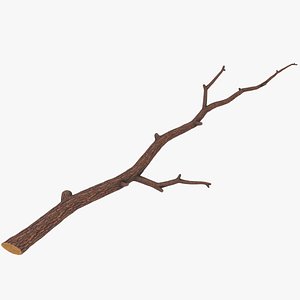 3D branch scanline ready - TurboSquid 1552735