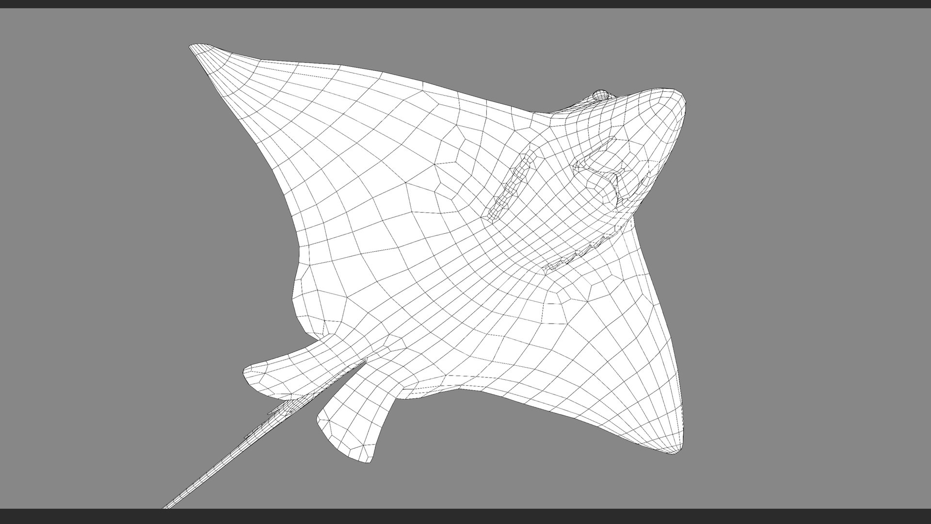 3D Spotted Eagle Ray - TurboSquid 2239471