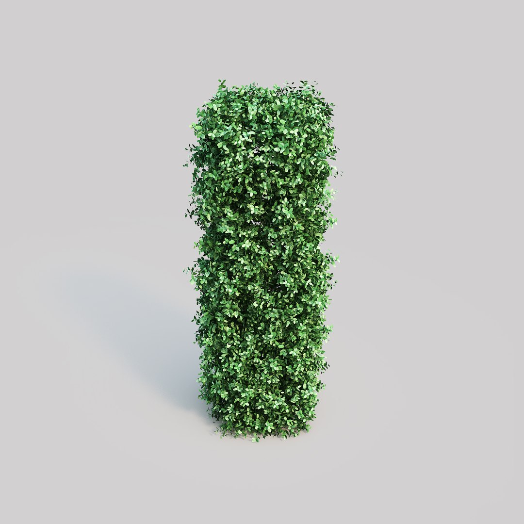 Alphabet Buxus Obj