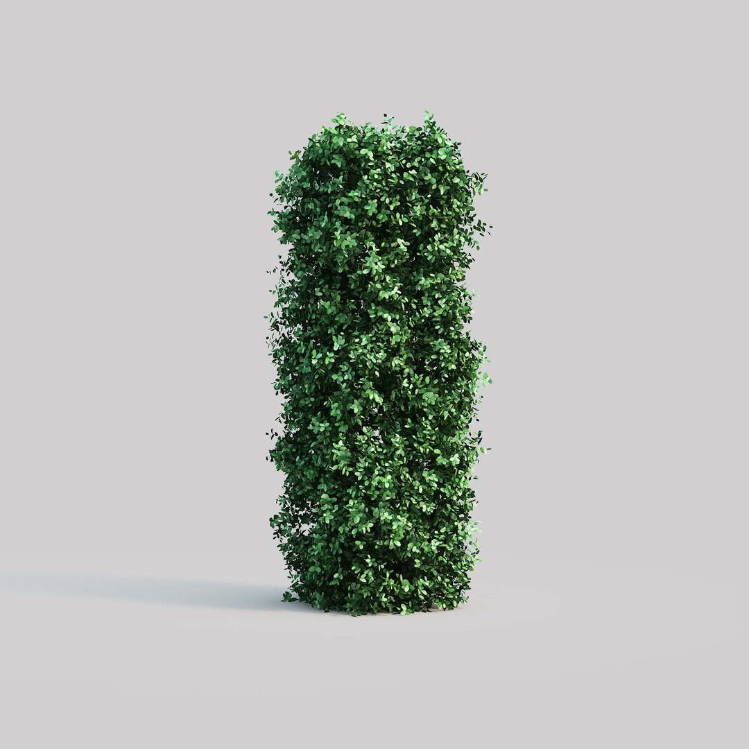 Alphabet Buxus Obj
