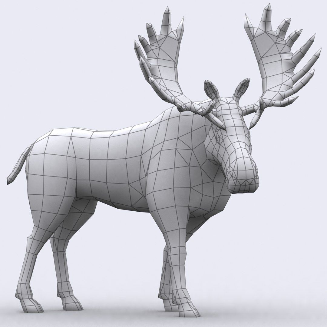 wild animal - moose 3d model