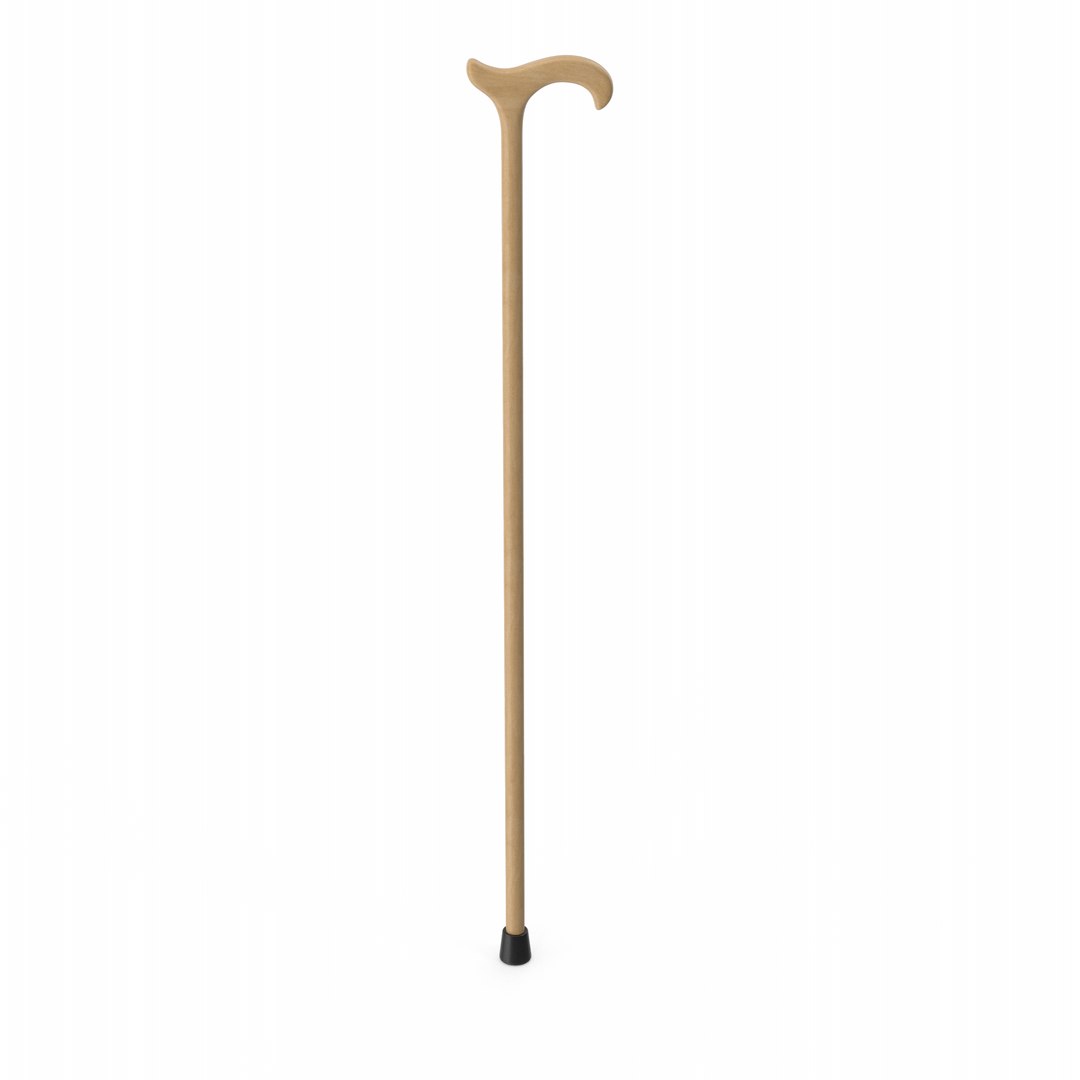Walking Stick Model - TurboSquid 2373969