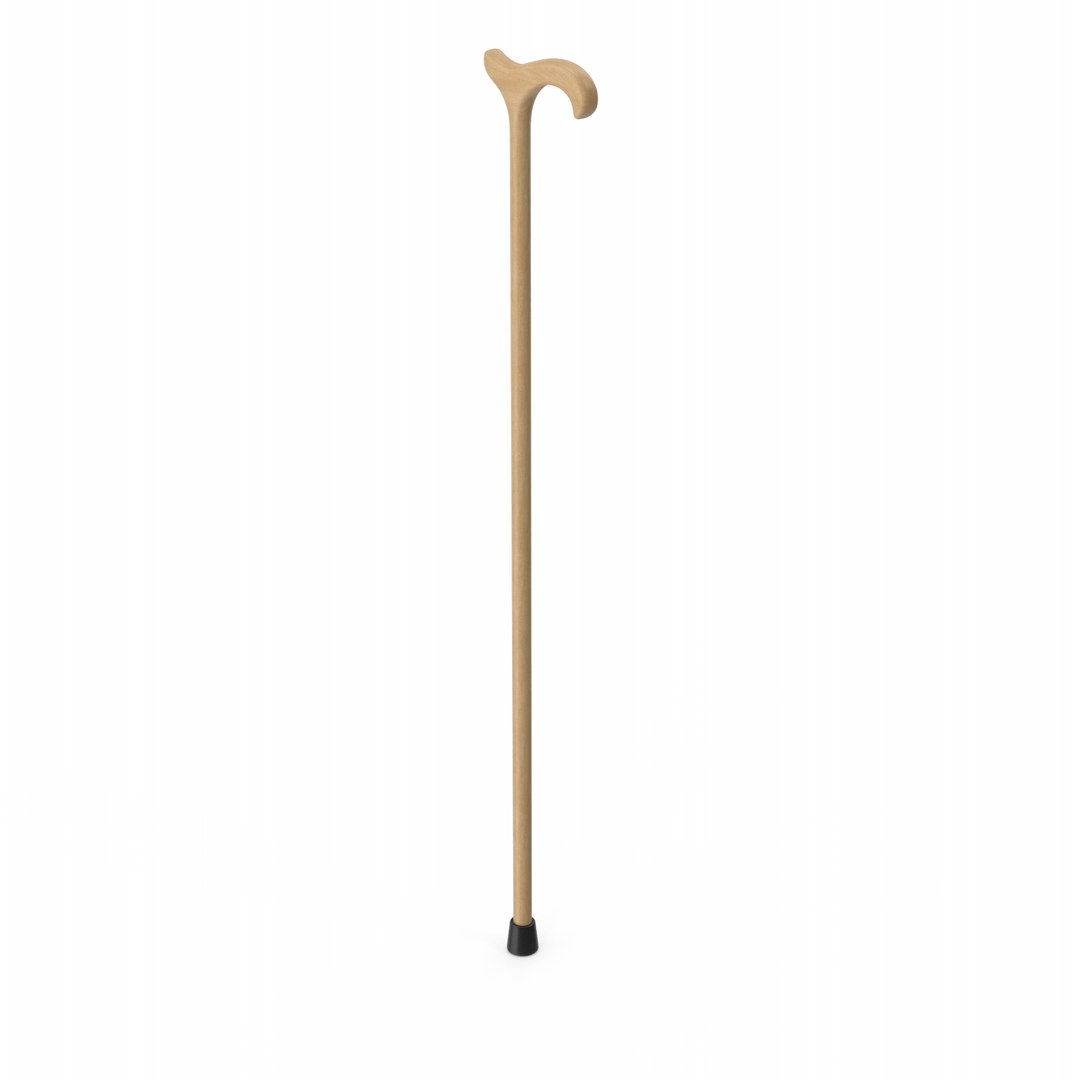 Walking Stick Model - TurboSquid 2373969