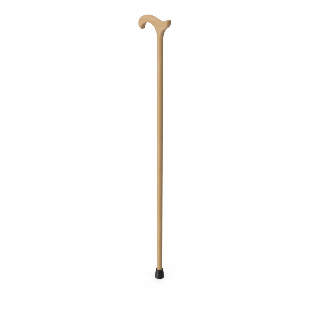 Walking Stick Model - TurboSquid 2373969