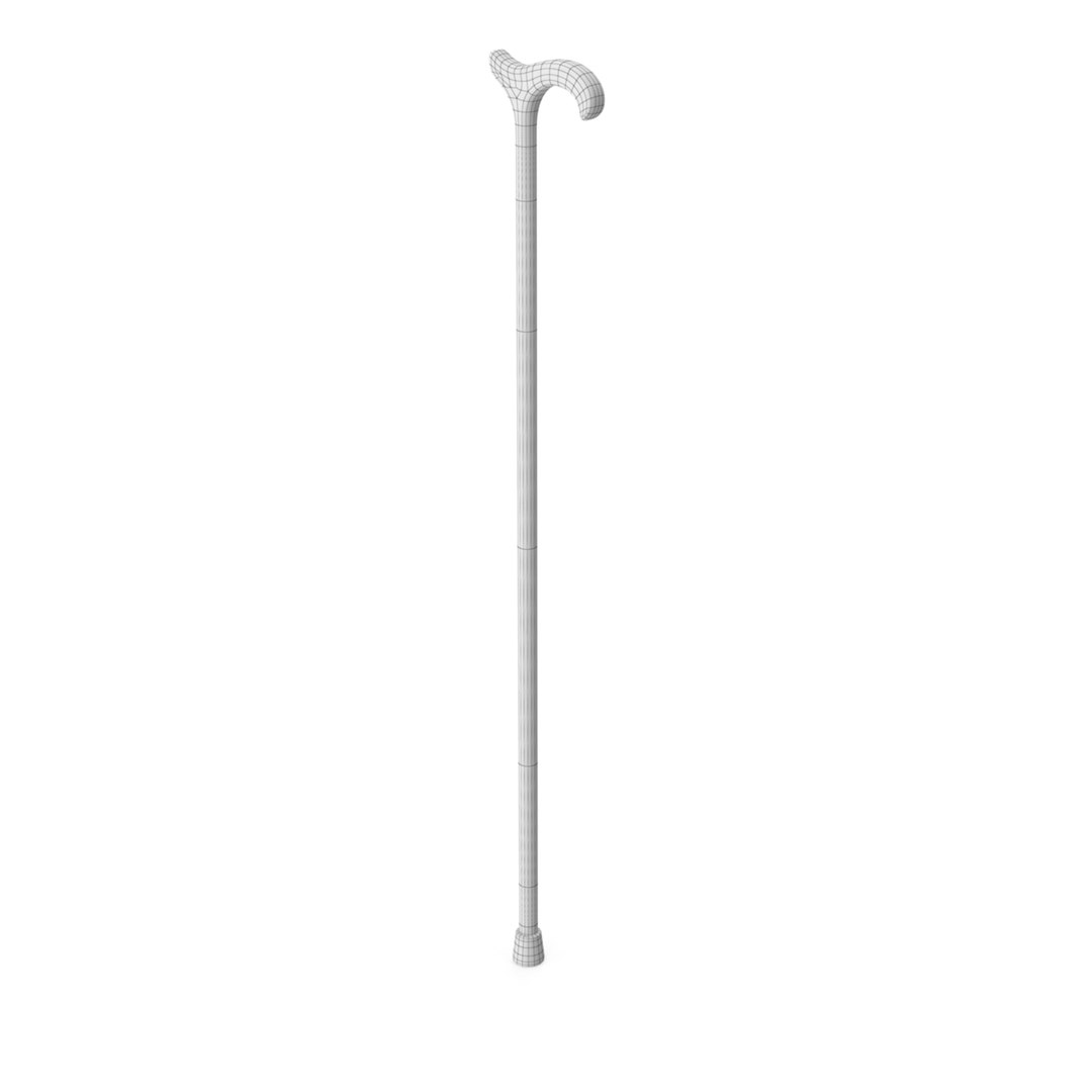 Walking Stick Model - TurboSquid 2373969