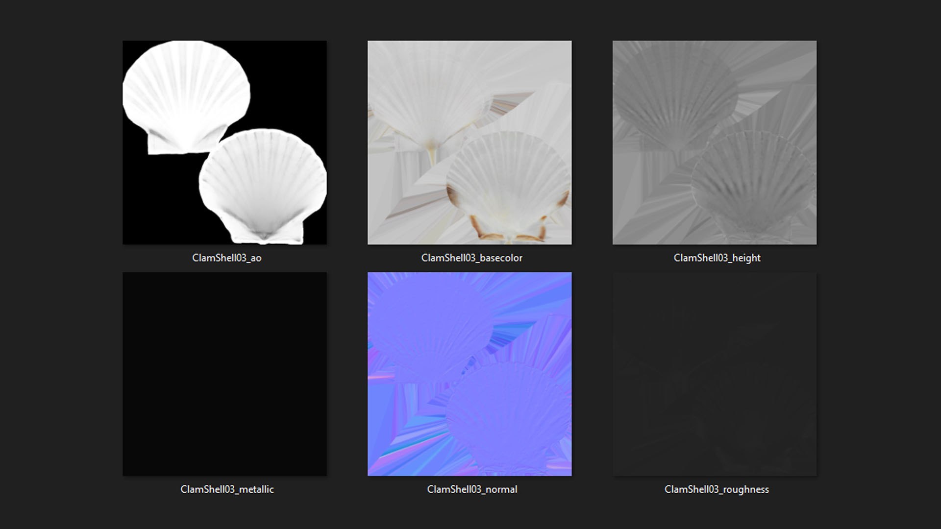 Clam Shell 03 Pose 2 3D - TurboSquid 2269923