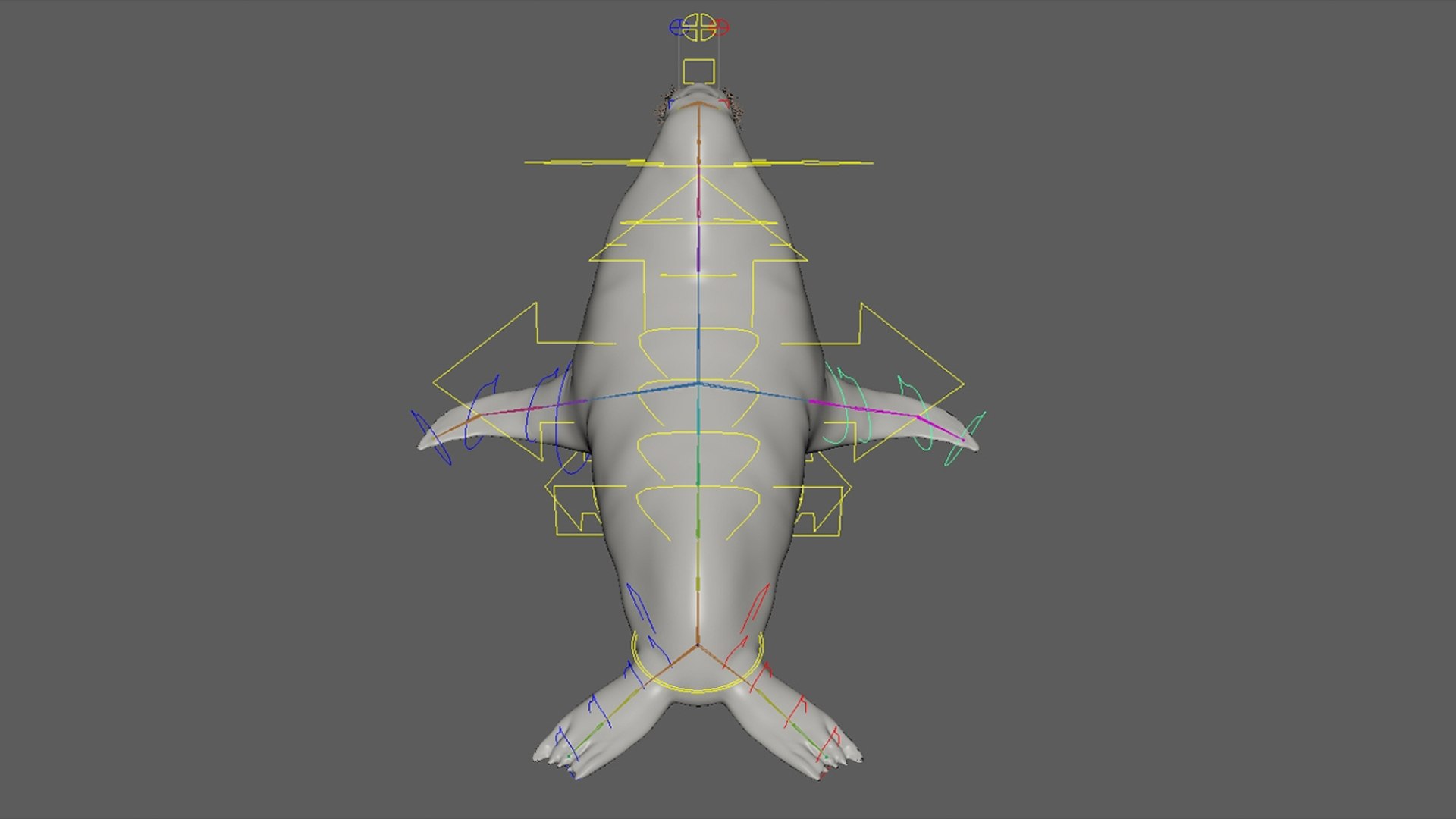 3D Walrus Rigged 3D Model - TurboSquid 2426392