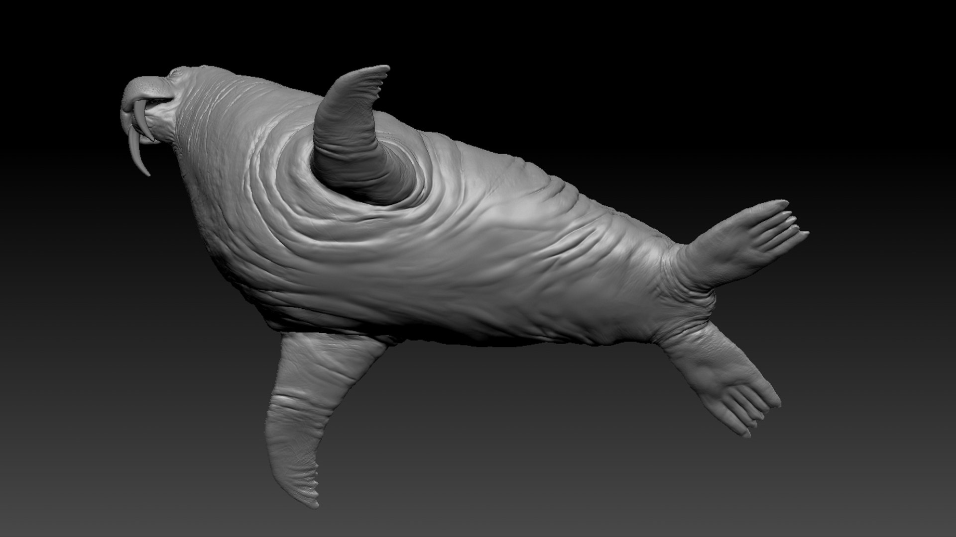 3D Walrus Rigged 3D Model - TurboSquid 2426392
