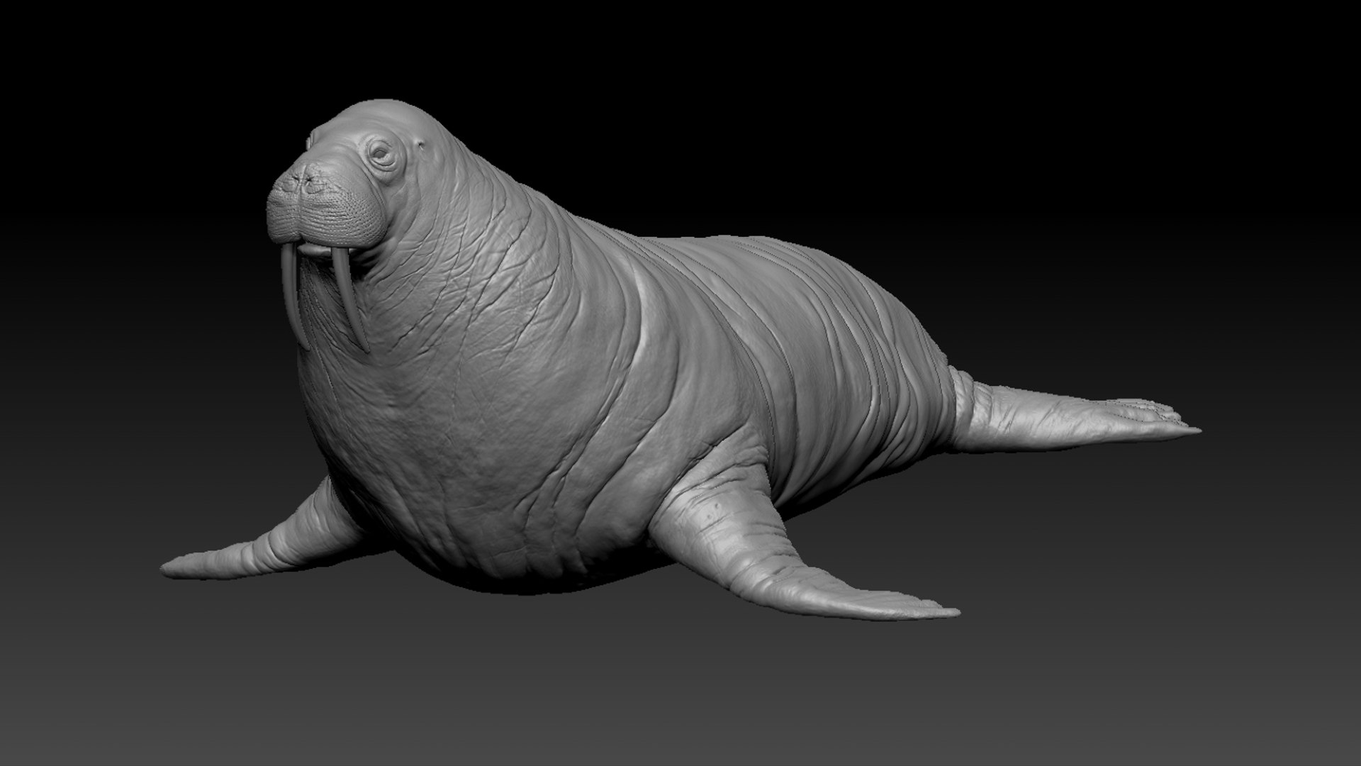 3D Walrus Rigged 3D Model - TurboSquid 2426392