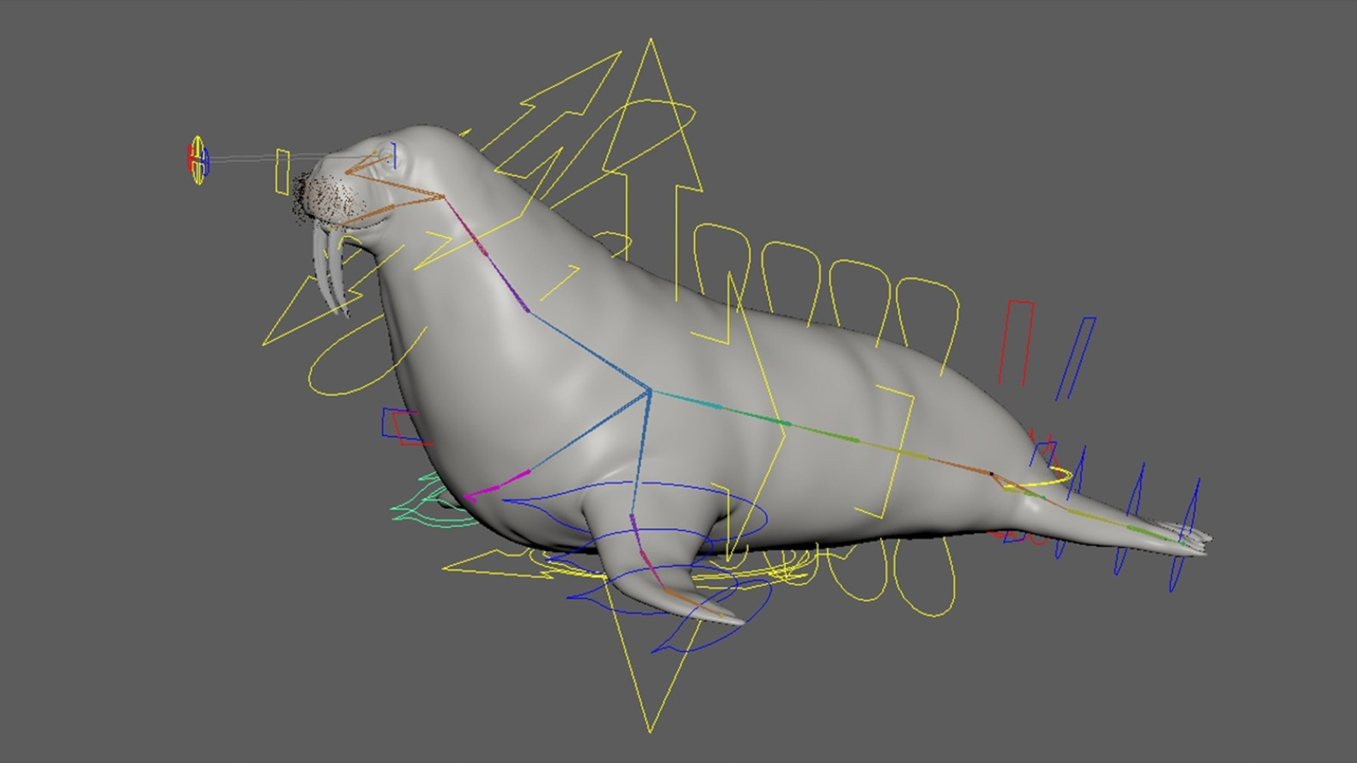 3D Walrus Rigged 3D Model - TurboSquid 2426392