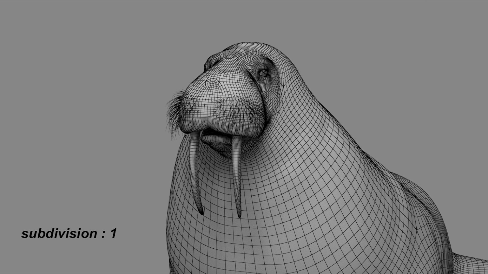 3D Walrus Rigged 3D Model - TurboSquid 2426392