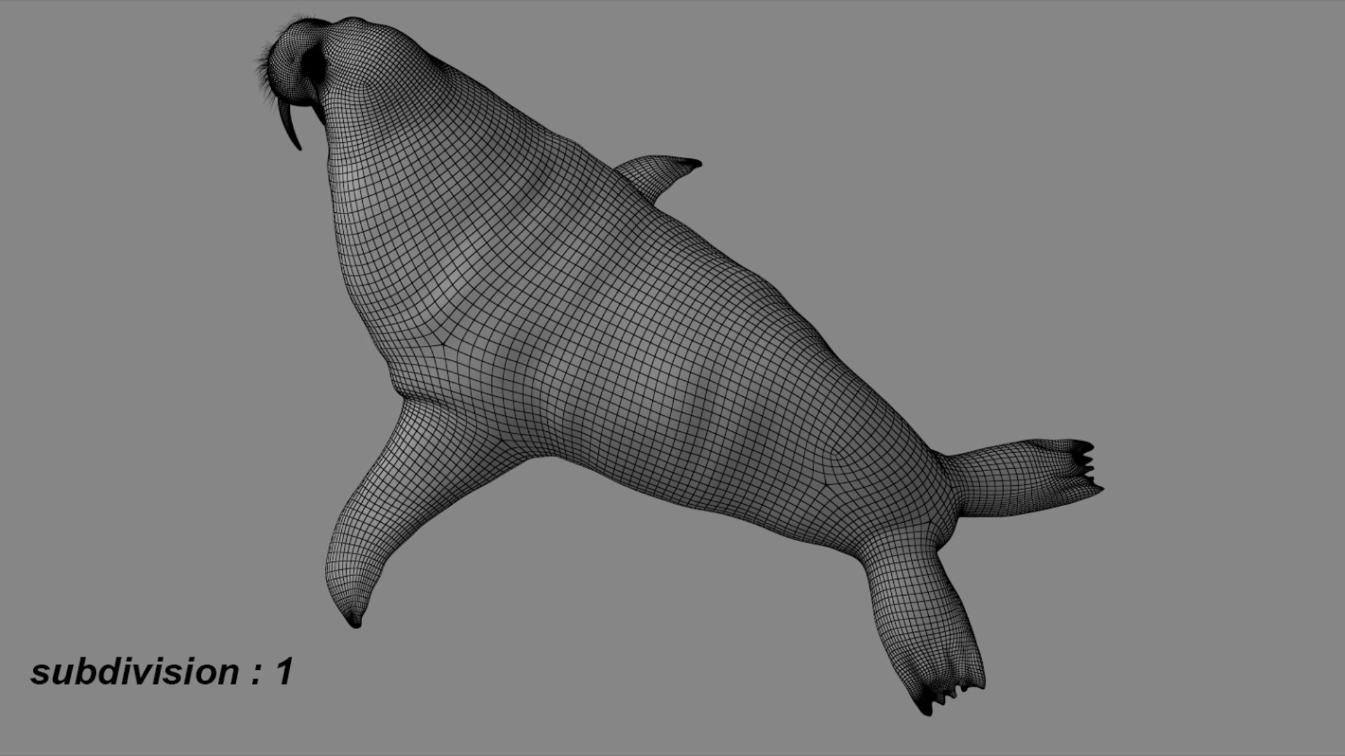 3D Walrus Rigged 3D Model - TurboSquid 2426392