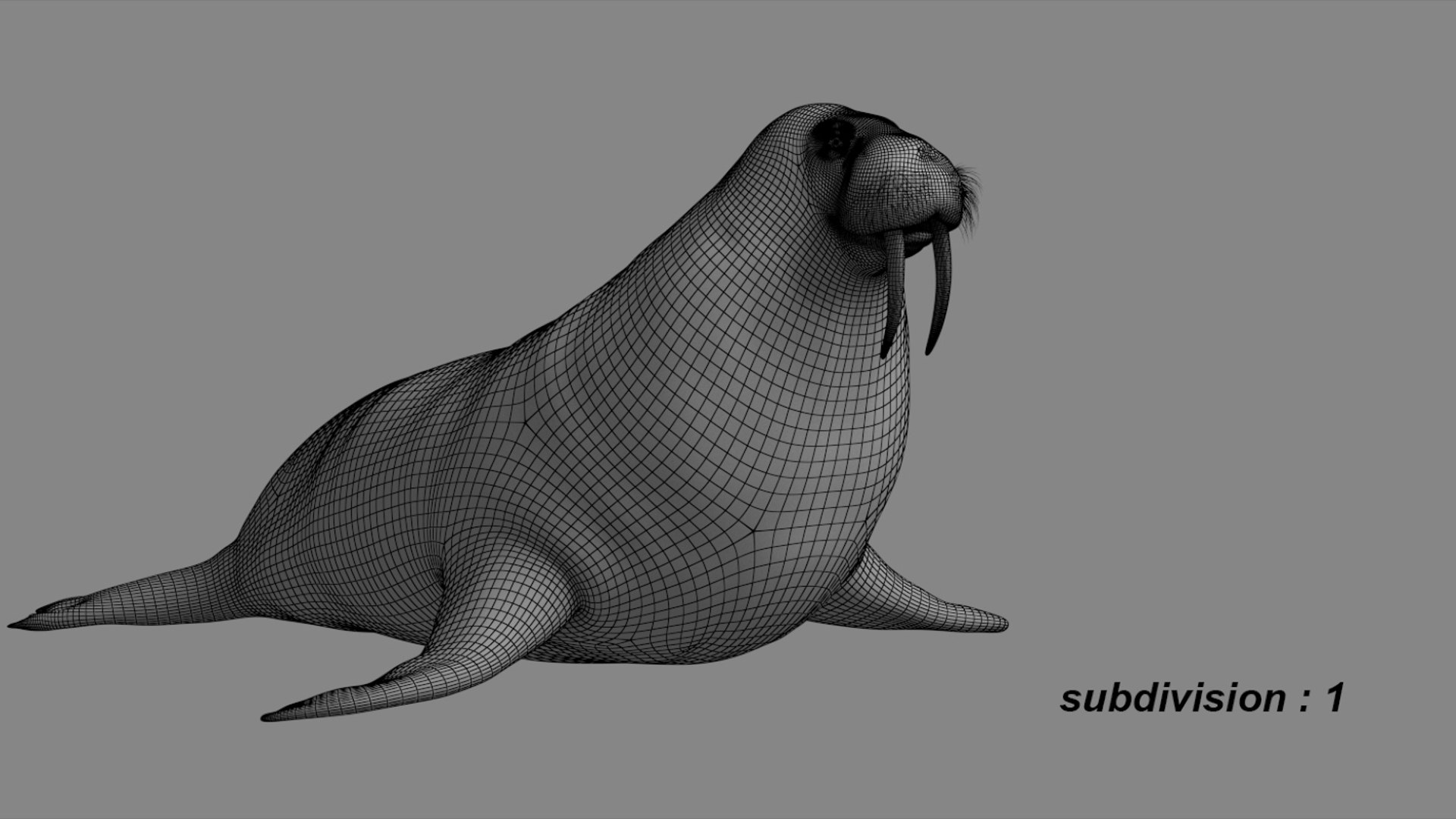 3D Walrus Rigged 3D Model - TurboSquid 2426392