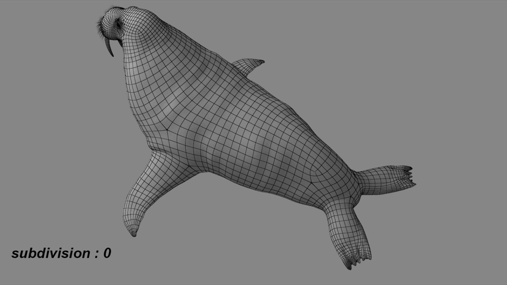 3D Walrus Rigged 3D Model - TurboSquid 2426392
