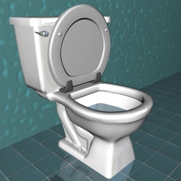 maya flush toilet