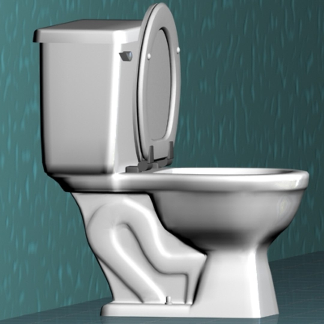 Maya Flush Toilet