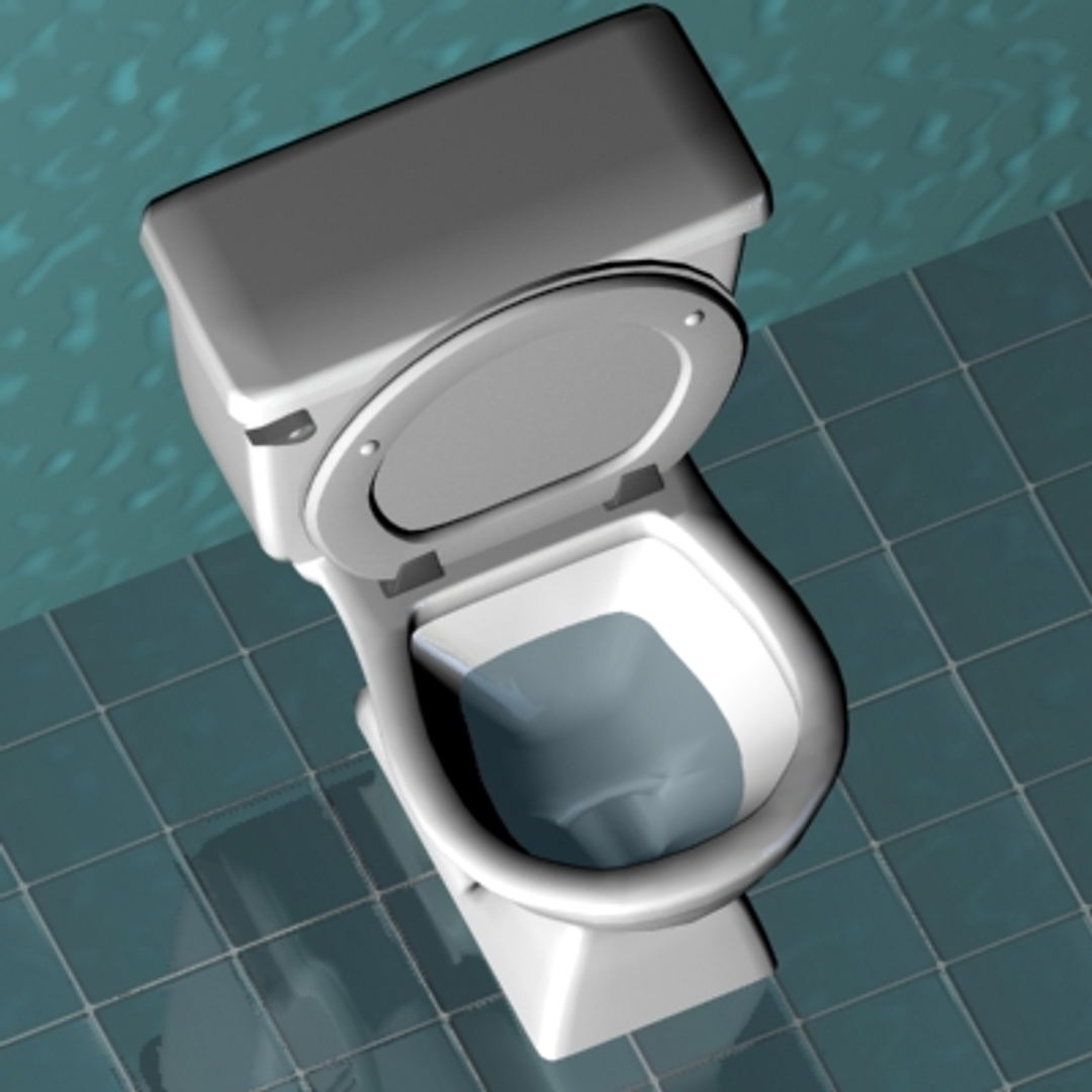 maya flush toilet