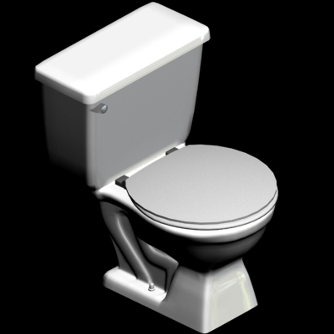 Maya Flush Toilet