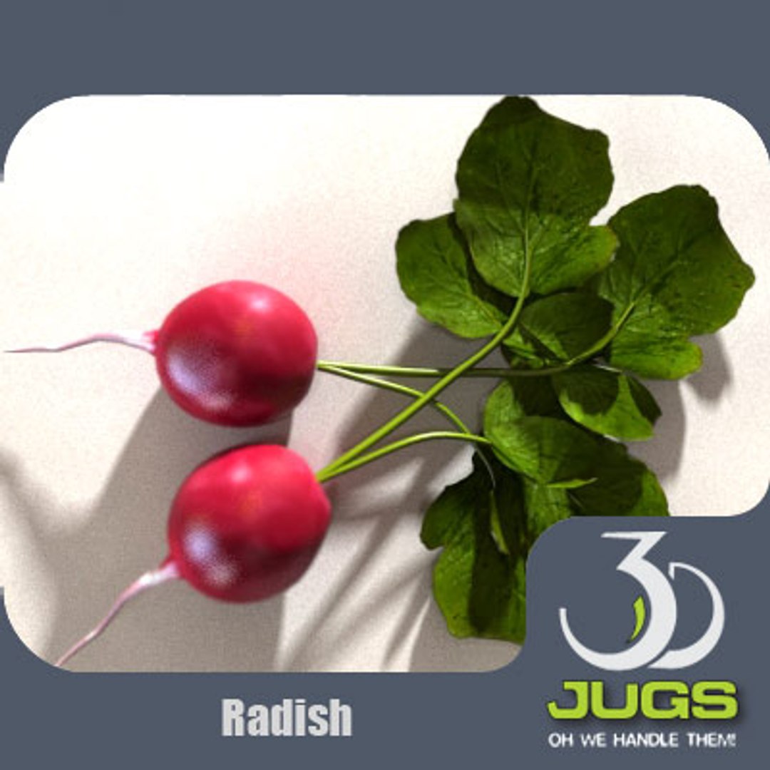 Radish Vegetables 3d Model