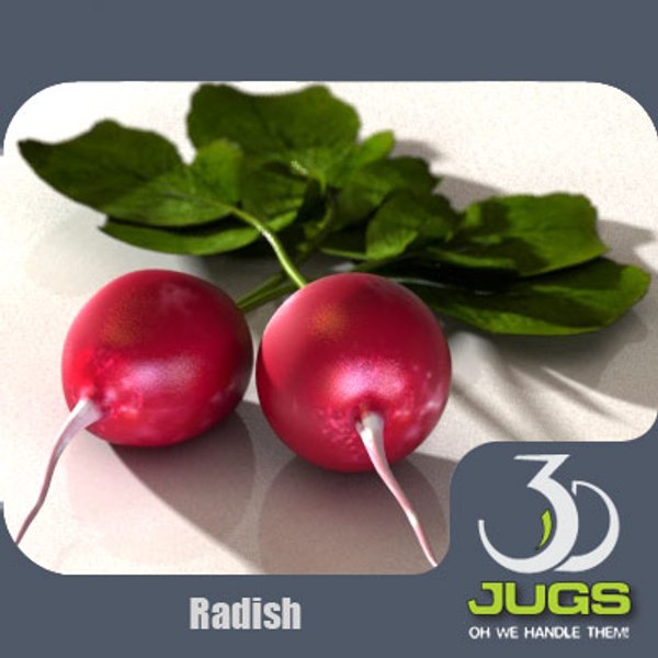 Radish 3D Models for Download | TurboSquid