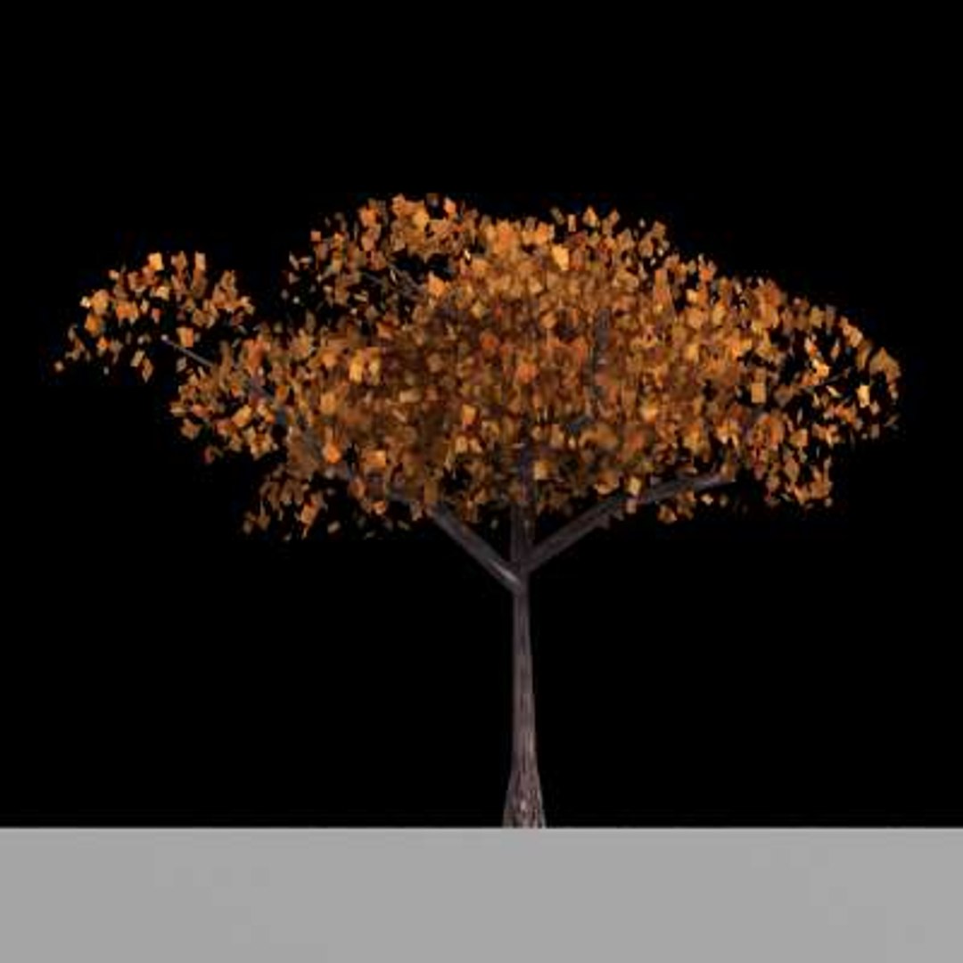 Tree Architectural 3d Model