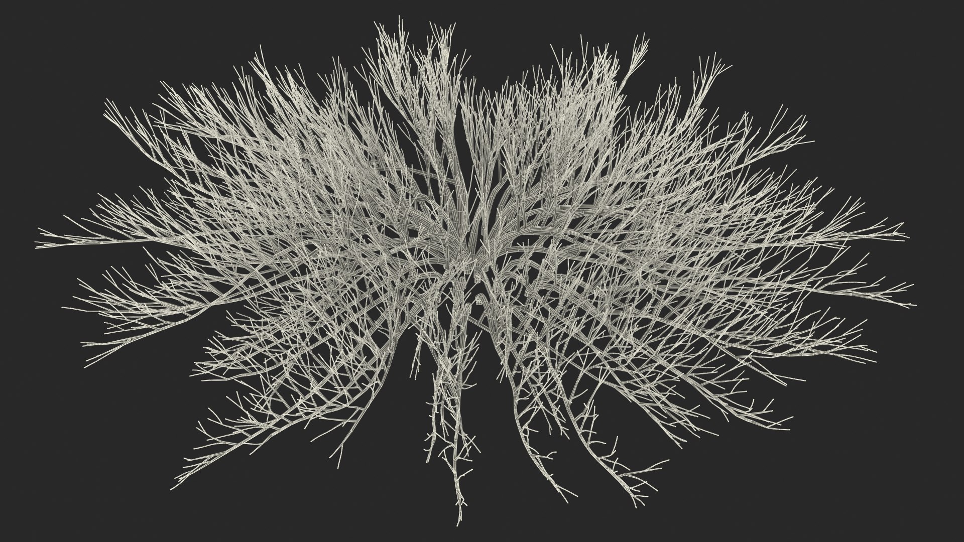 3D Horizontal Conifer Shrub - TurboSquid 1906971