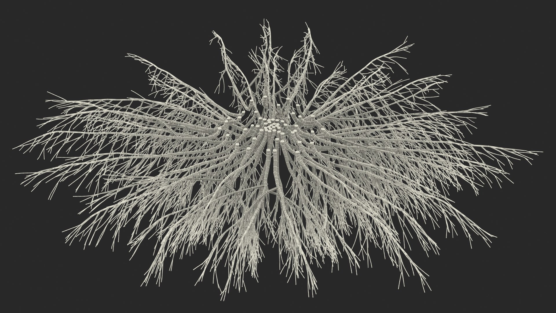 3D Horizontal Conifer Shrub - TurboSquid 1906971