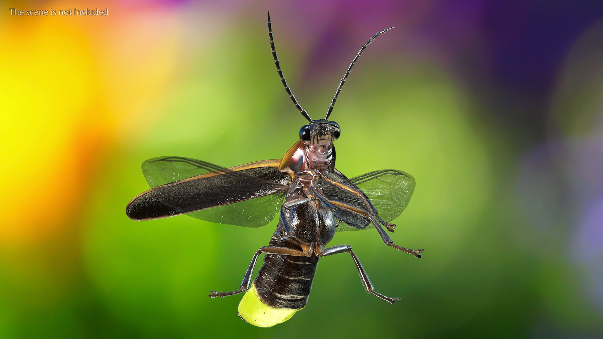 3D Glowing Eastern Firefly Standing Pose Fur Model - TurboSquid 2170554