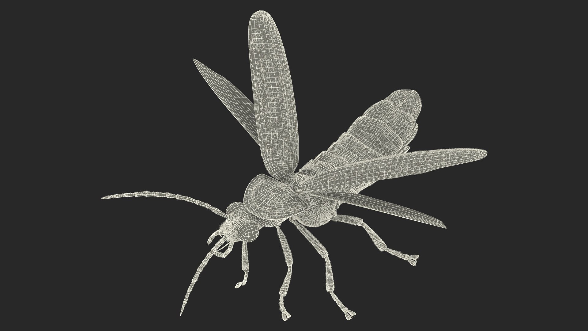 3D Glowing Eastern Firefly Standing Pose Fur Model - TurboSquid 2170554