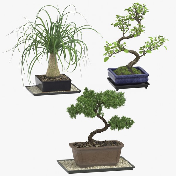 bonsai tree 3d max