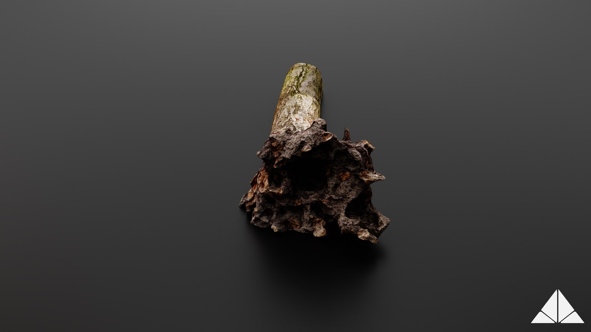 3D tree root - TurboSquid 1392464