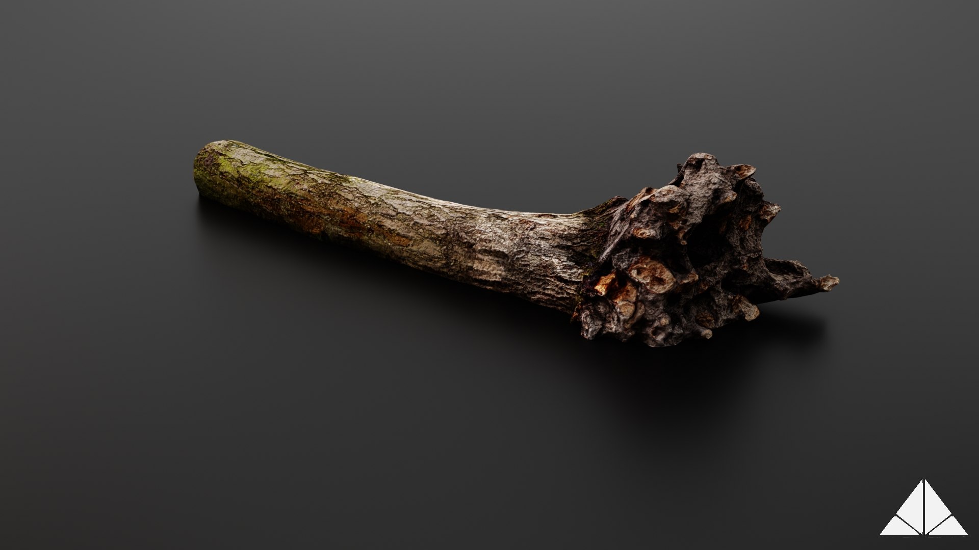 3D tree root - TurboSquid 1392464