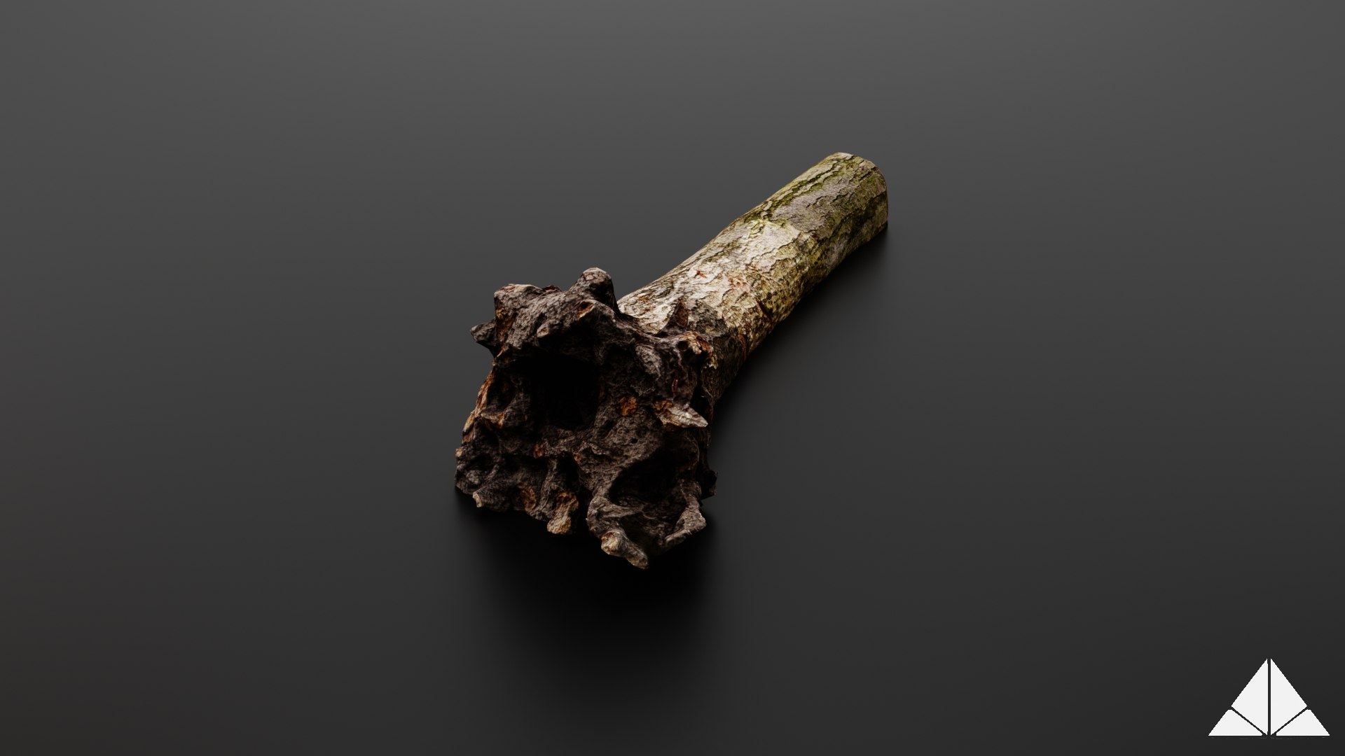 3D tree root - TurboSquid 1392464