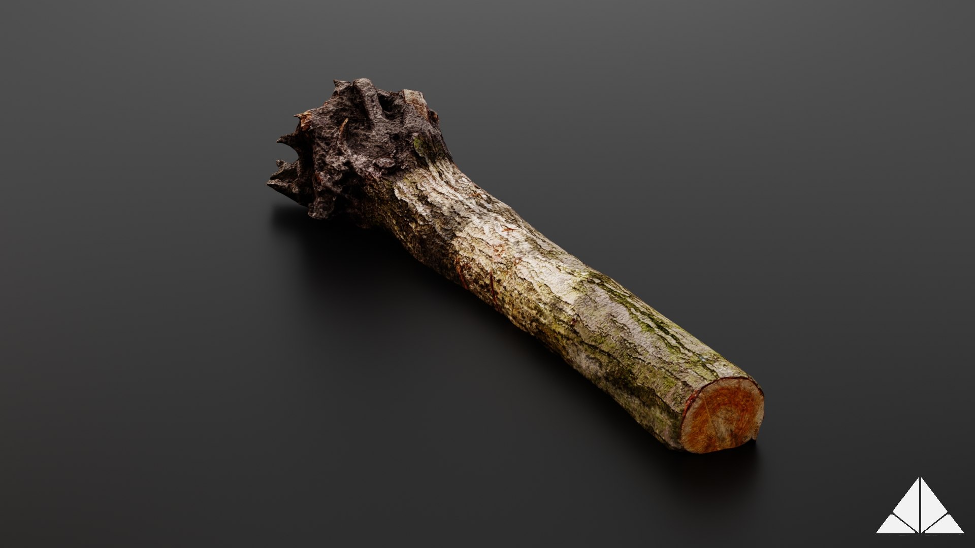 3D tree root - TurboSquid 1392464