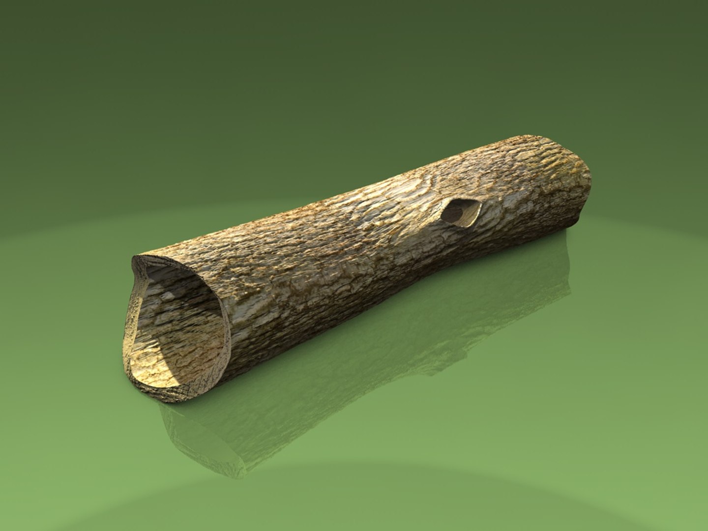 3d hollow dead trunk model